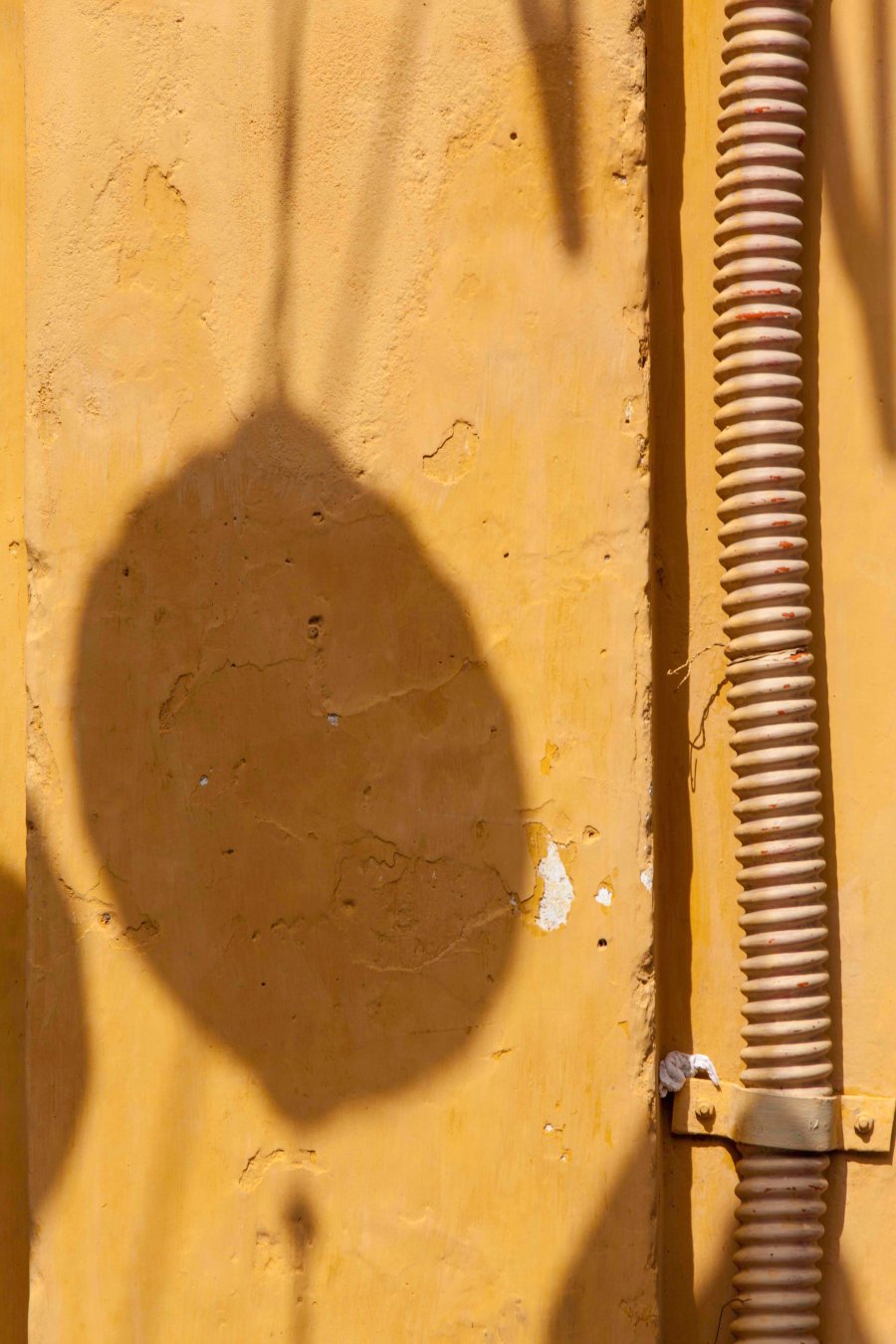 Photographer – JOHN HODGMAN, Art & Design, Tasmania